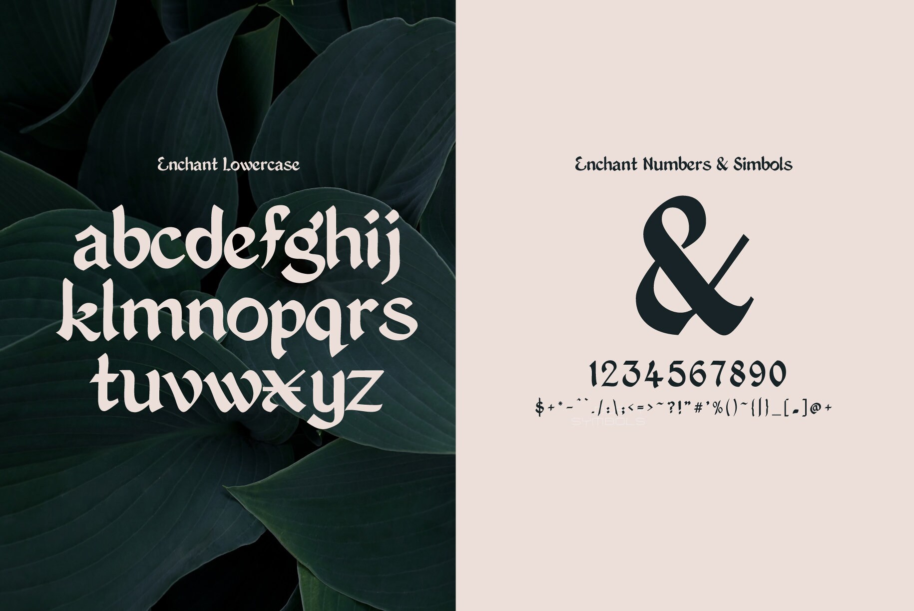 Enchant - Mystical 1600s Typeface | Gothic Font, Blackletter Fonts ...