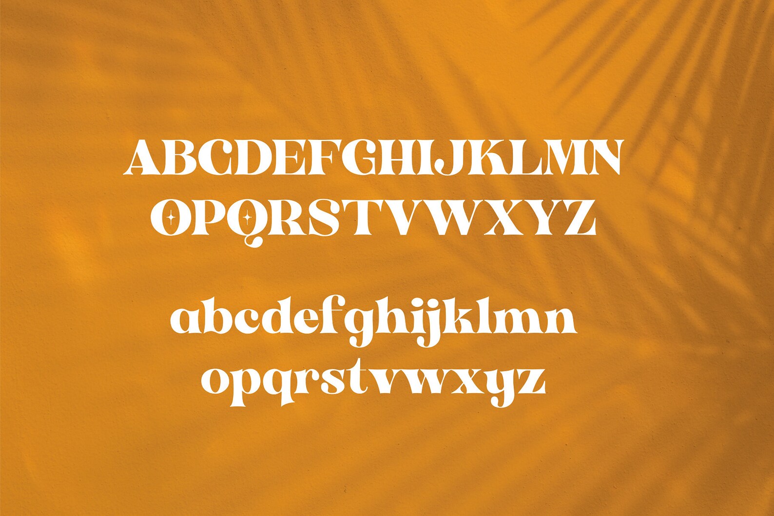 Antigua - Tropical Display, Serif Font, Modern Font, Boho Font ...