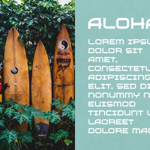 Boomerang - Hawaiian Surf Font | Tropical, Tiki, Groovy, Summer, Beach ...