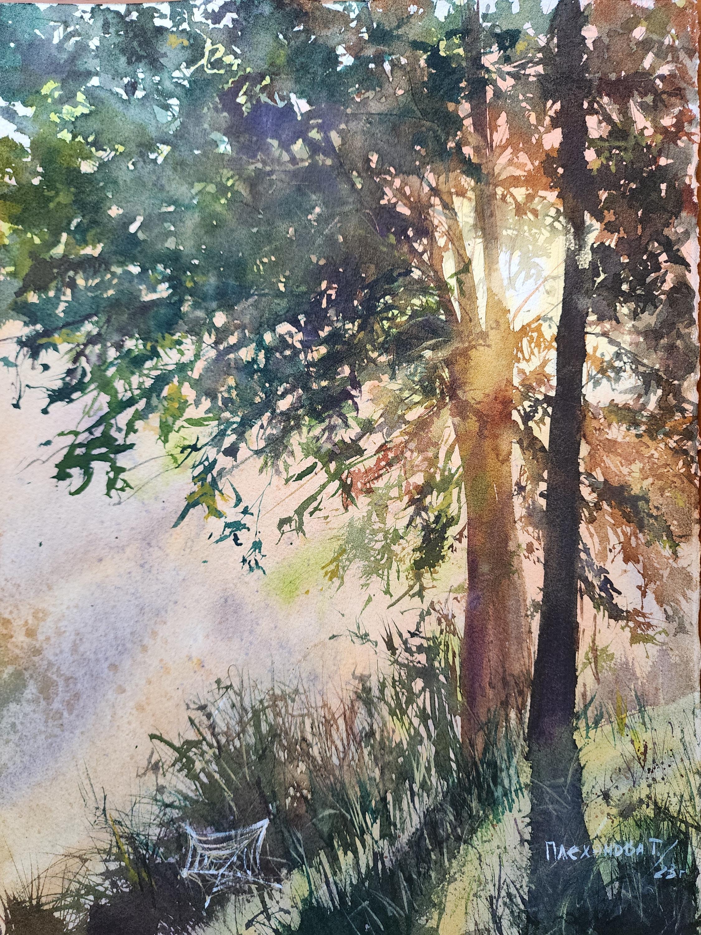 Golden Rays: Beautiful Watercolor Forest Landscape Art - Morning Light ...