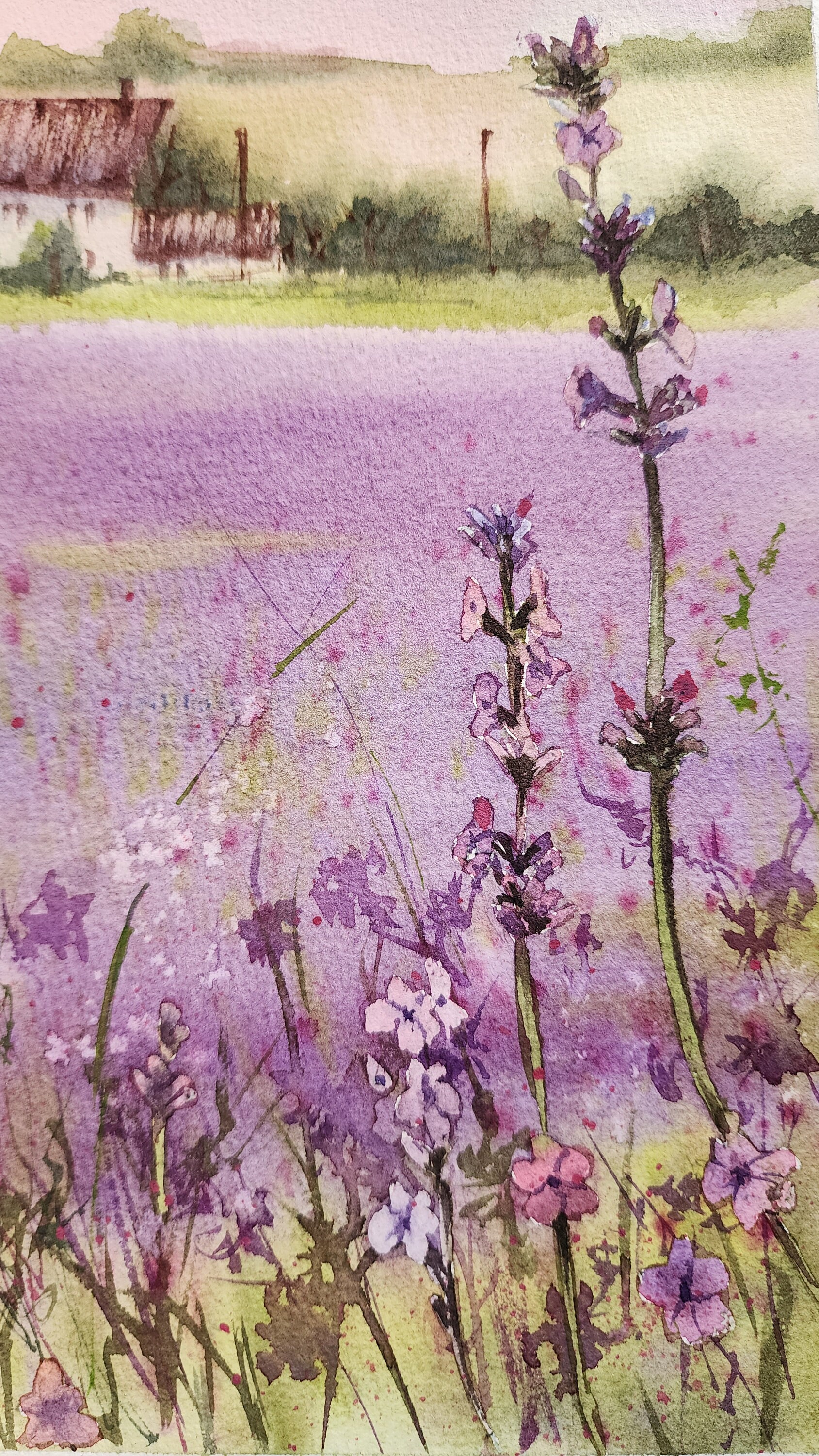 Provence Original Watercolor Painting Lavender Art Home Decor ...