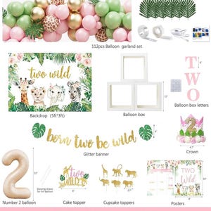 Two Wild Birthday Decorations Girl, Jungle Theme 2nd Birthday Party ...