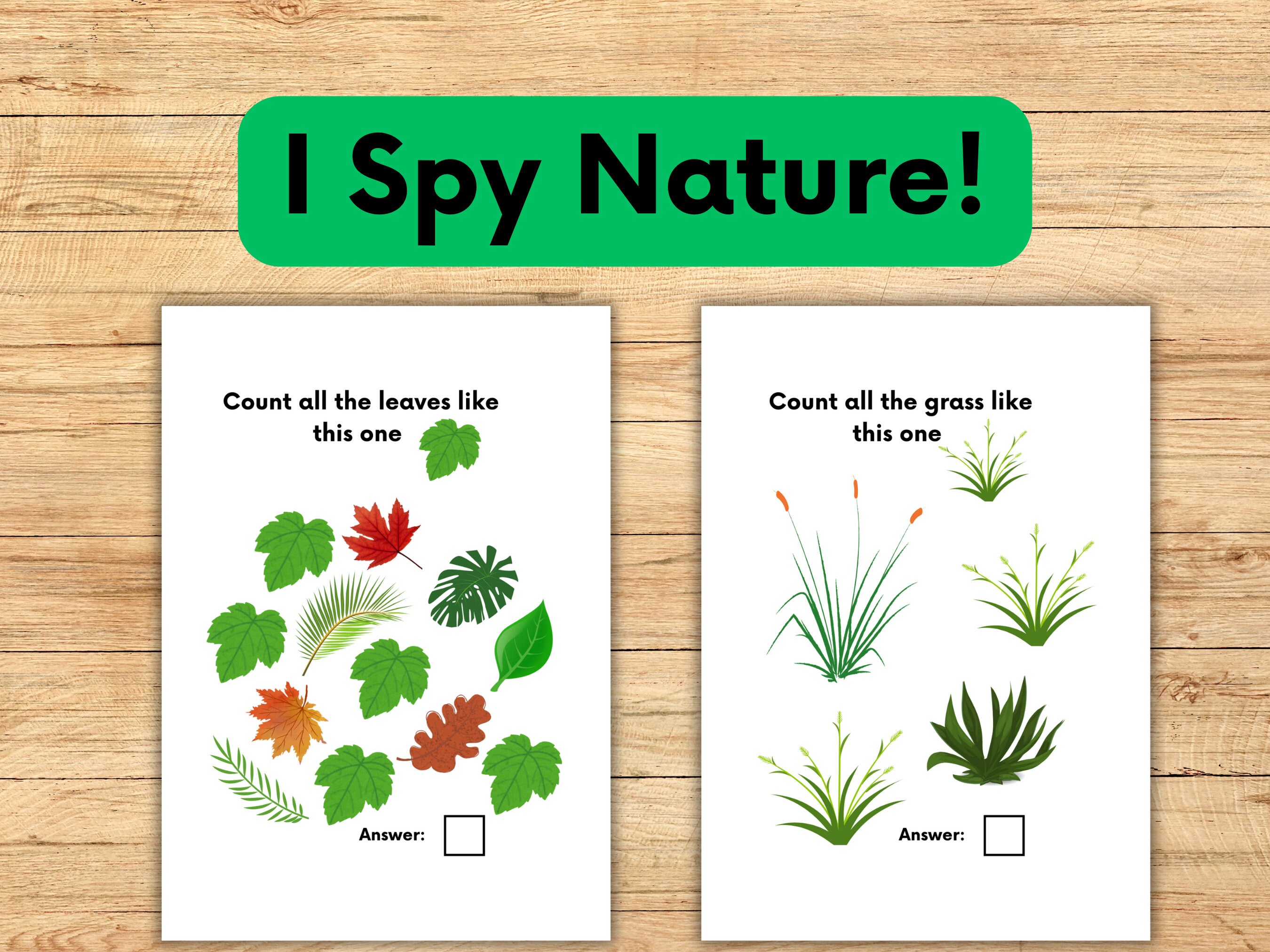 I Spy Nature! - Etsy