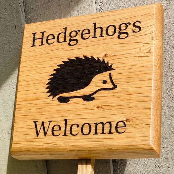 Handmade Hedgehog - Etsy
