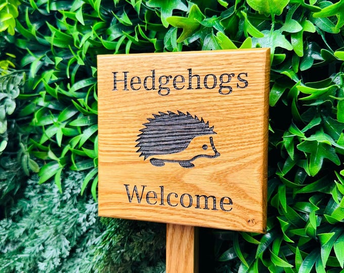 Hedgehog Garden Sign Solid Wood - Etsy UK