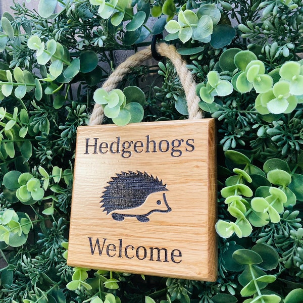 Wooden Hedgehog - Etsy UK