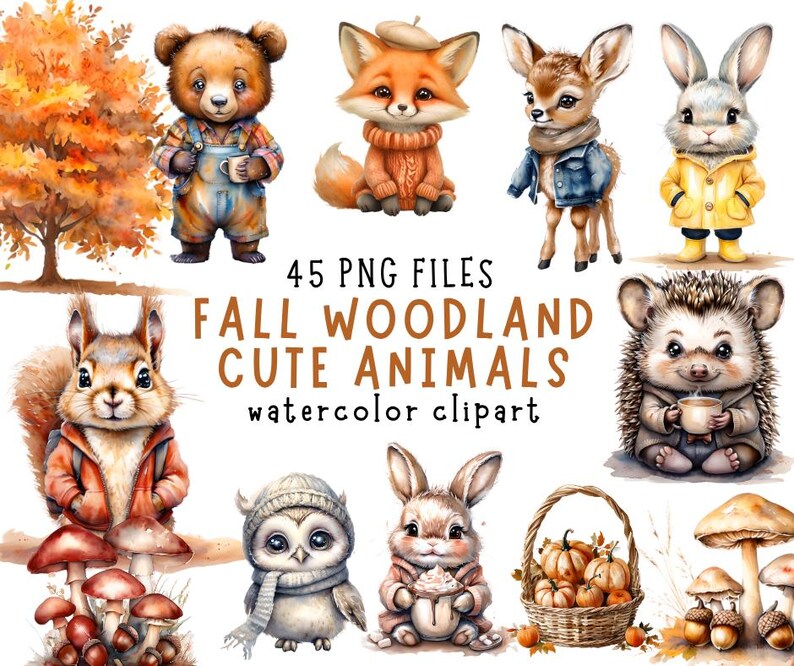 Woodland Animal Clipart Bundle: Fall Forest Pngs (digital Download) - Etsy