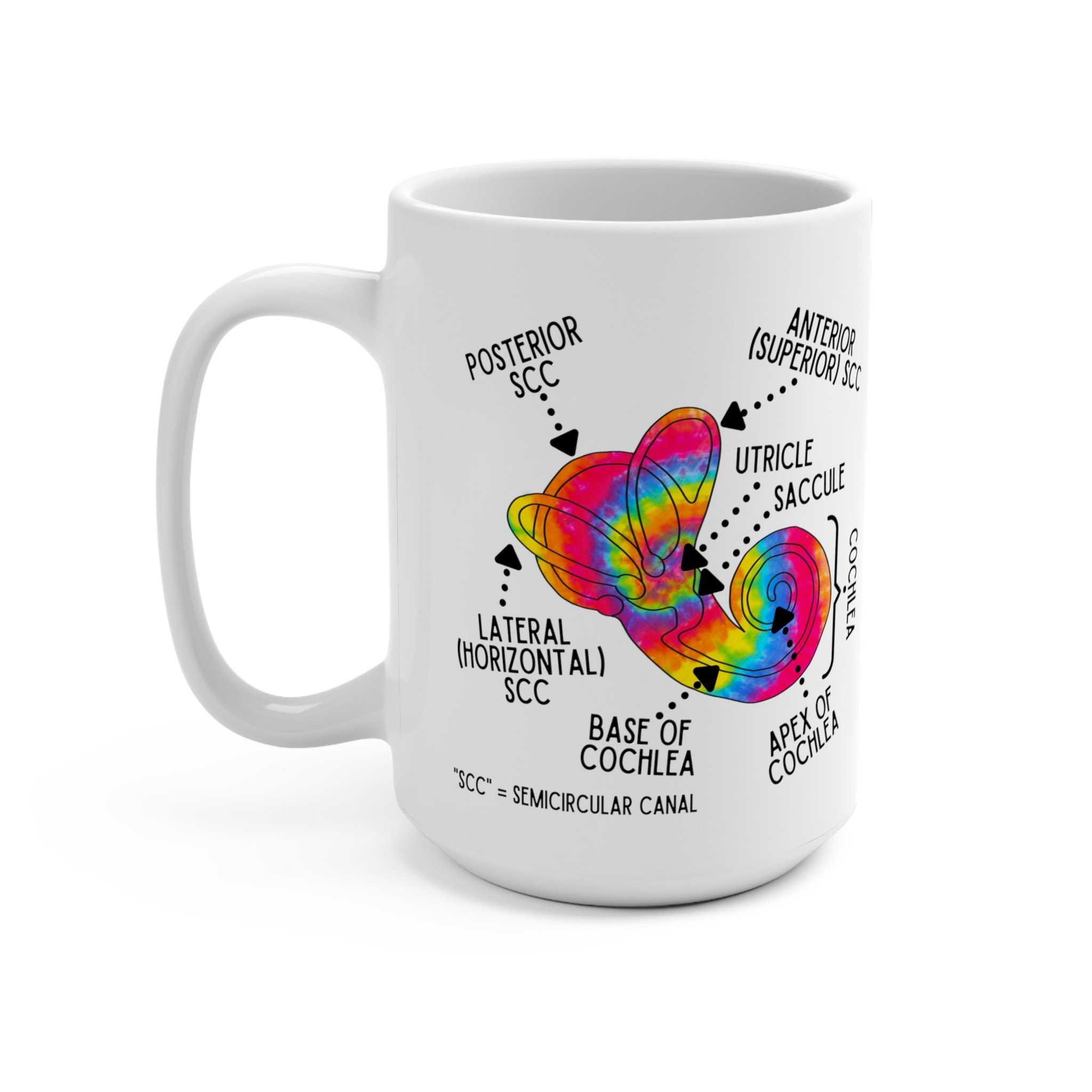 Cochlear and Vestibular System Diagram in Rainbow Tie Dye Coffee Cup ...