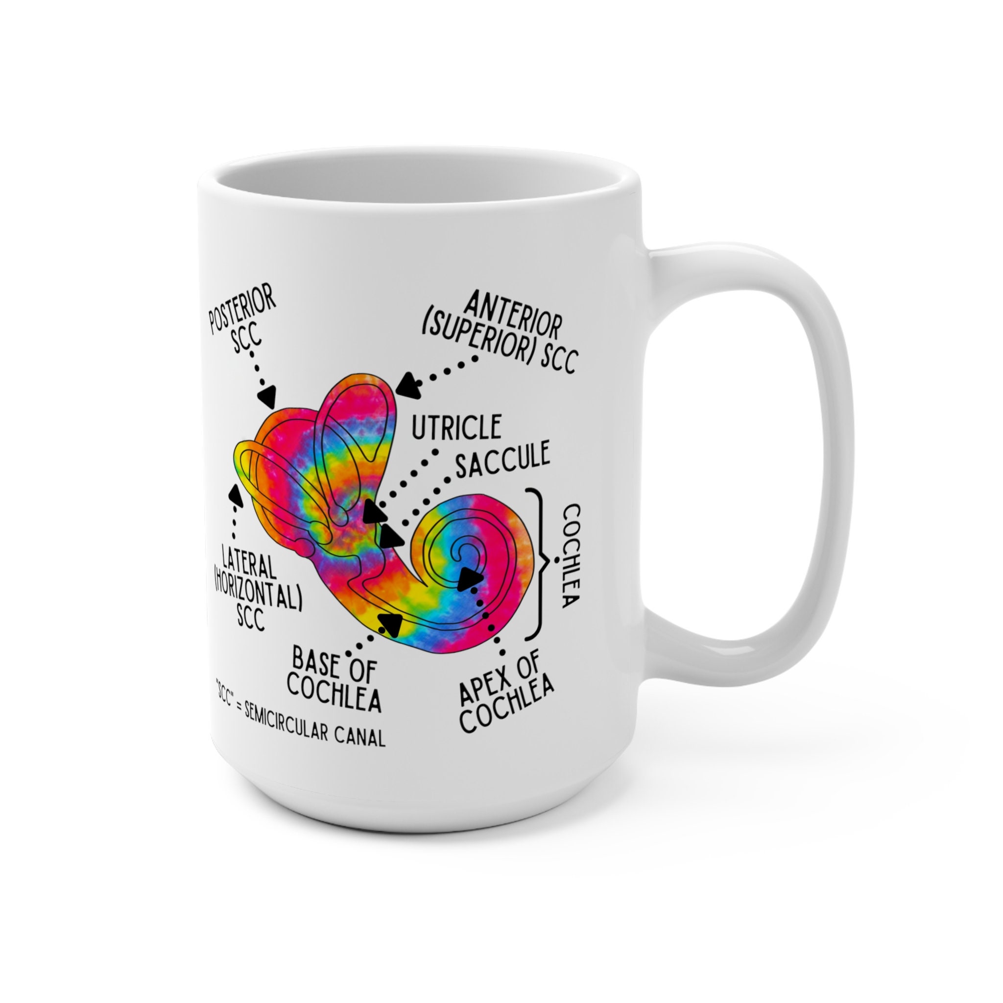 Cochlear and Vestibular System Diagram in Rainbow Tie Dye Coffee Cup ...