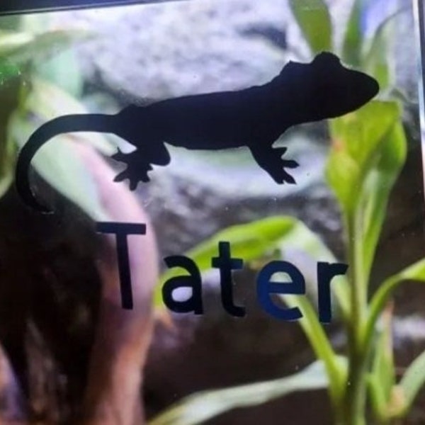 Reptile Enclosure - Etsy