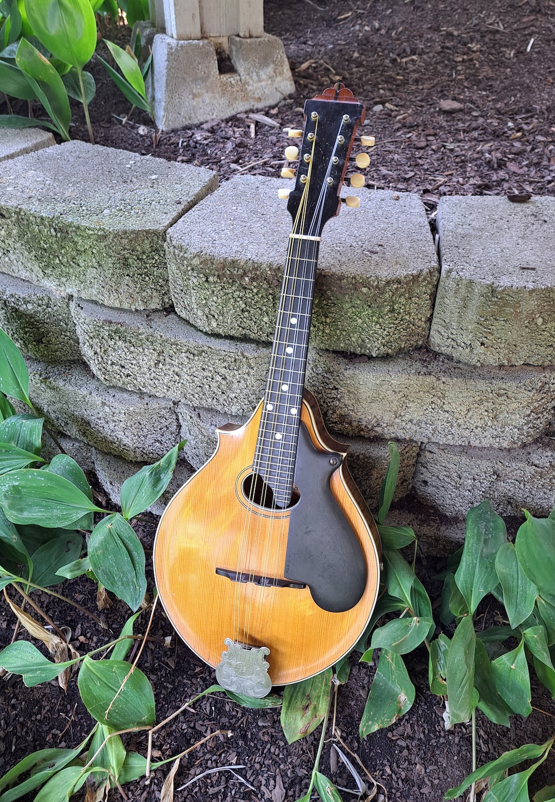 Antique Lyon & Healy Model B Mandolin, 883, Circa 1919, VG, HTF, Padded ...