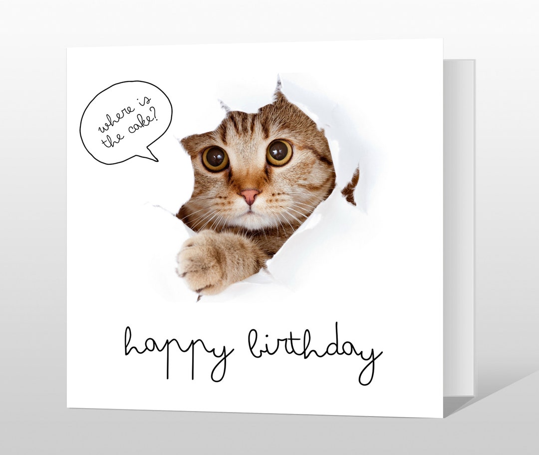 Funny Cat Birthday Card Cat Birthday Card Happy Birthday - Etsy