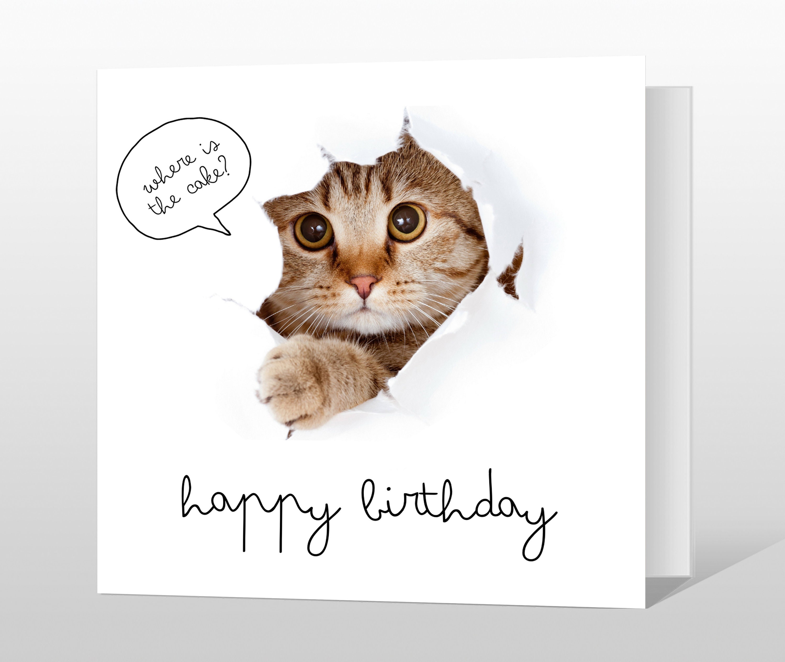 Funny Cat Birthday Card Cat Birthday Card Happy Birthday - Etsy UK