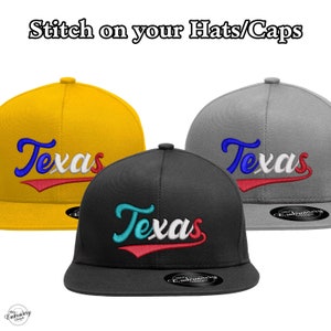 Texas 3d Puff & Flat Raised Embroidery Machine Design File for Hats ...