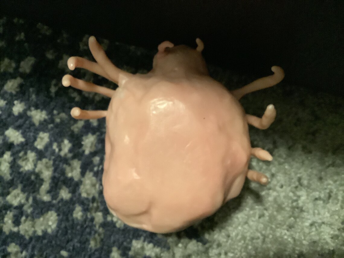 Hybrid Human Tick Creature Sculpture - Etsy