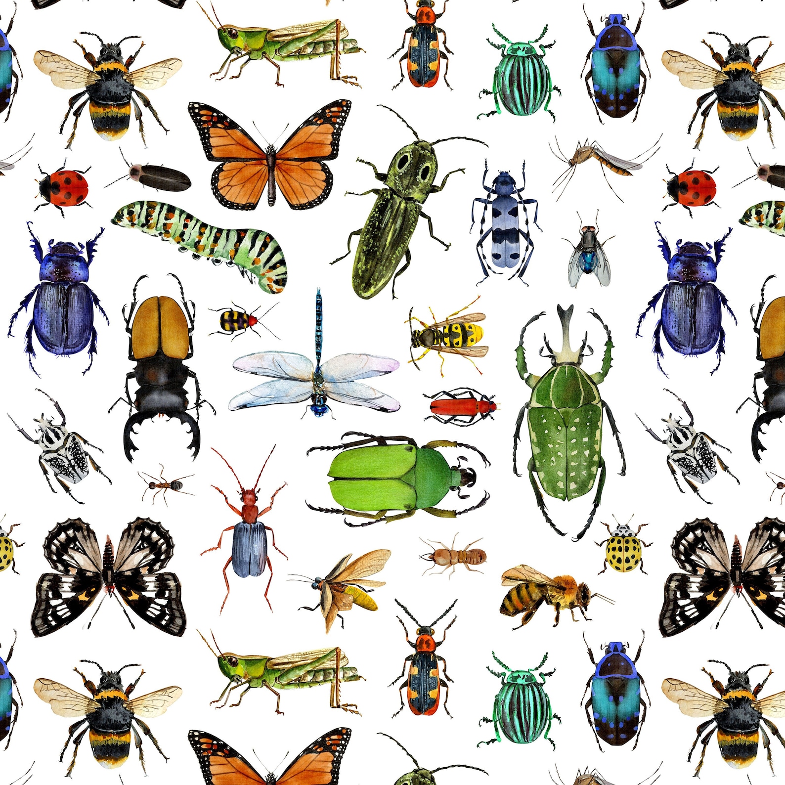 Bug Fabric Watercolor Bugs and Insects, Summer, Children's Fabric Kona ...