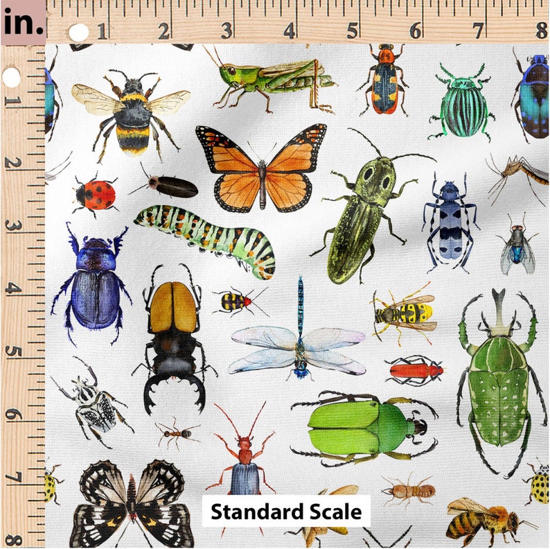 Bug Fabric Watercolor Bugs and Insects, Summer, Children's Fabric Kona ...