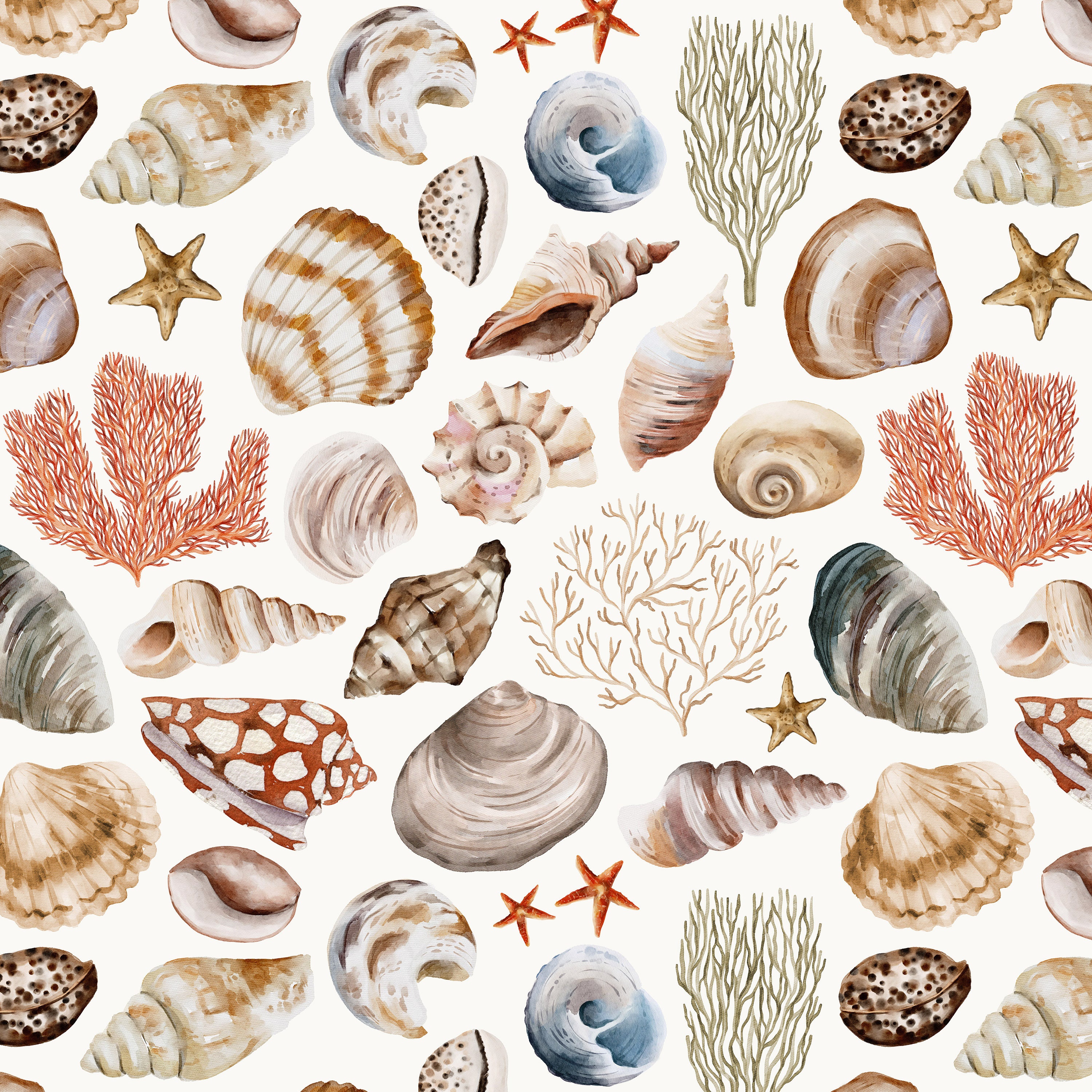 Sea Shell Fabric, Summer Beach, Coastal, Kona Cotton, Sateen, Sport ...