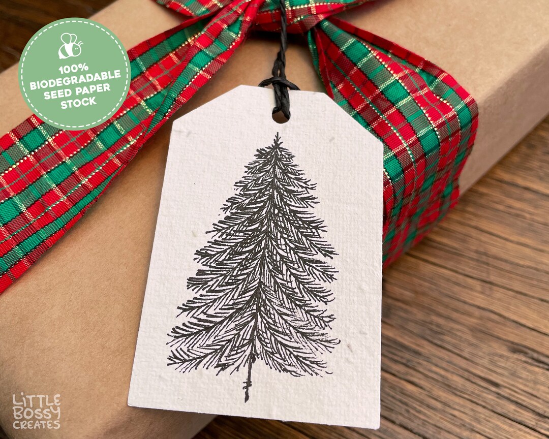 Plantable Seed Christmas Tree Gift Tags, Pack of 6 Hand Drawn Plantable ...