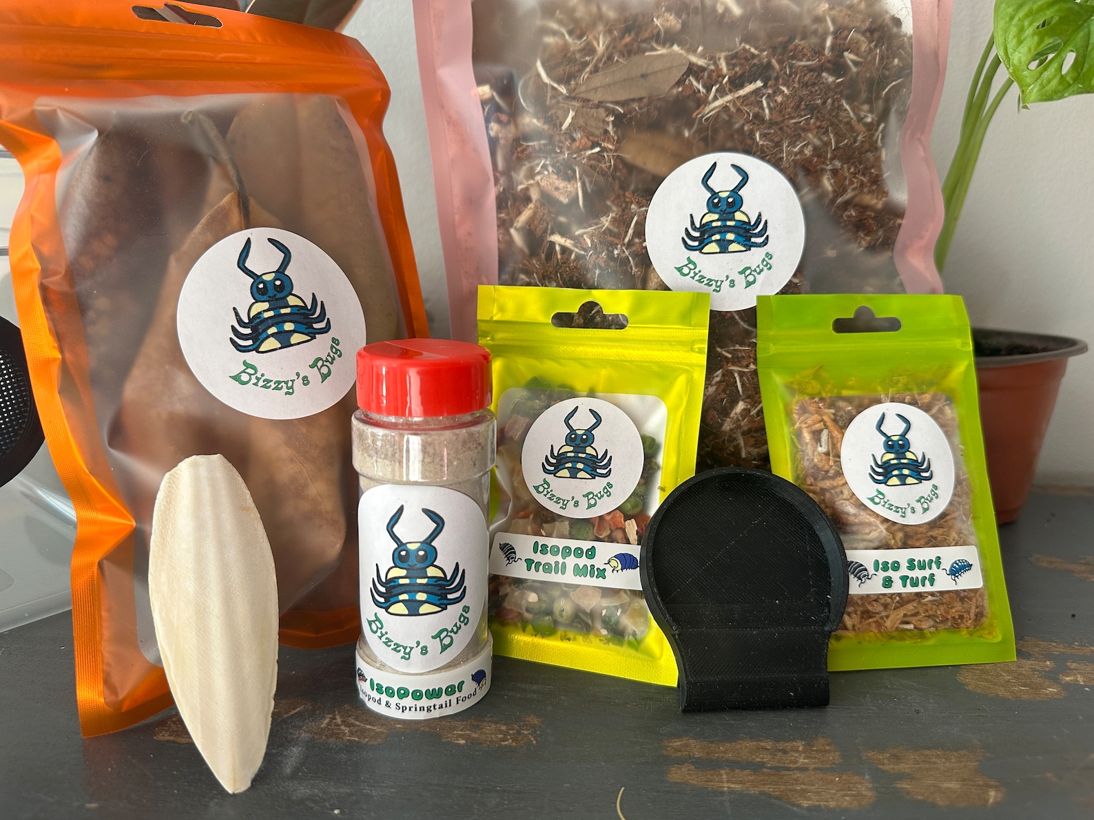 Deluxe Isopod Starter Kit Isopod Terrarium Kit for Isopods With Isopod ...