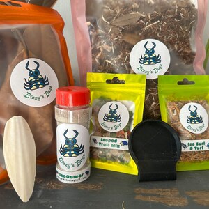 Deluxe Isopod Starter Kit Isopod Terrarium Kit for Isopods With Isopod ...