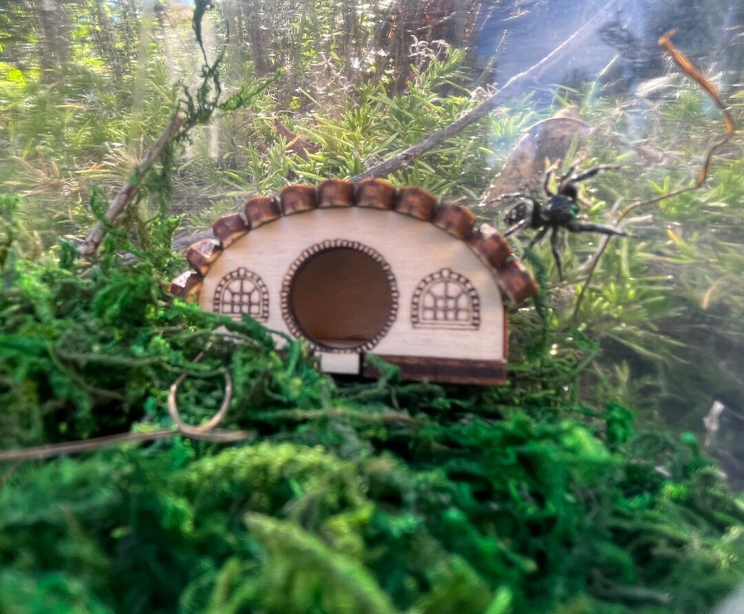 Hobbit Hole Spider Hide Unique Spider House for Your LOTR Spood or ...