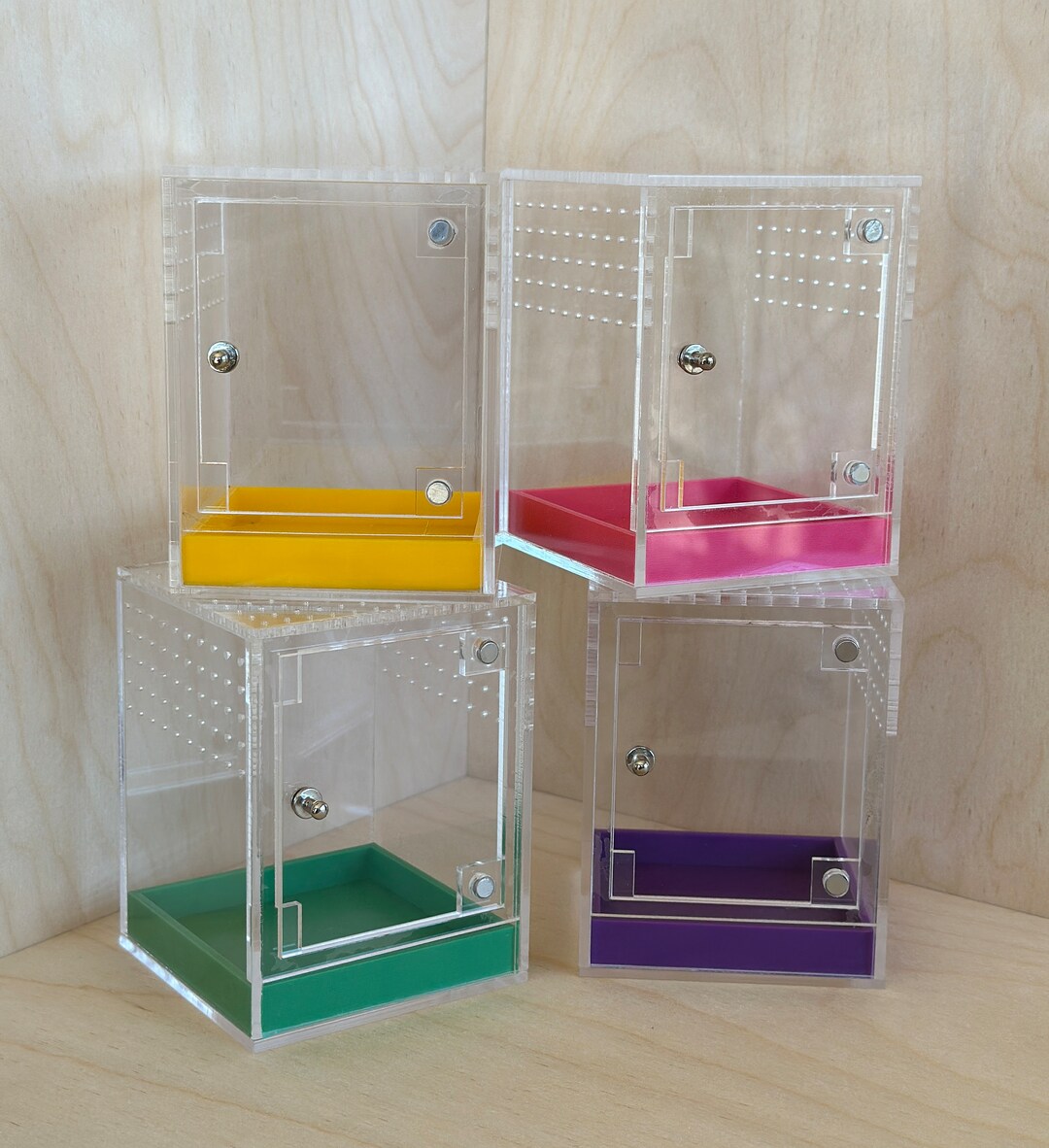 Mini Jumping Spider Enclosure - Crystal Clear Jumping Spider House ...