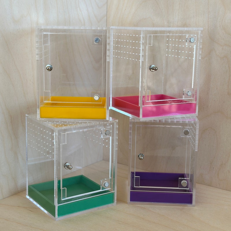 Jumping Spider Enclosure - Etsy