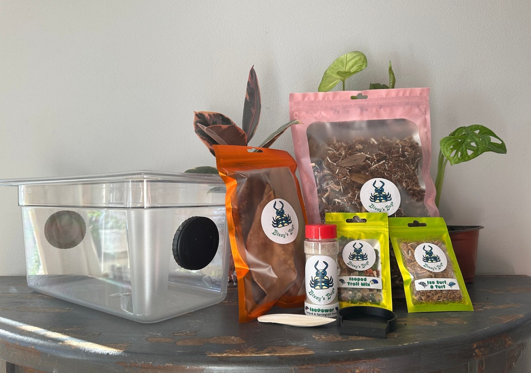 Deluxe Isopod Starter Kit Isopod Terrarium Kit for Isopods With Isopod ...