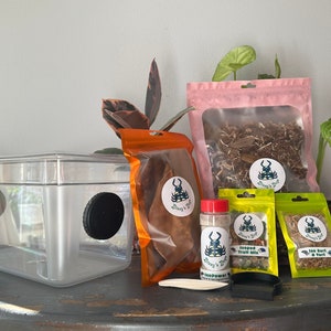 Deluxe Isopod Starter Kit Isopod Terrarium Kit for Isopods With Isopod ...