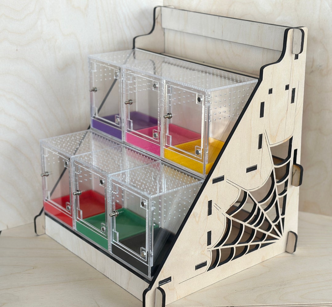 Spoodville Condo Complex Custom Shelving for Our Mini Jumping Spider ...