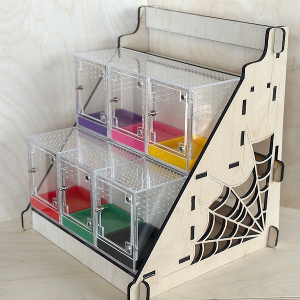 Jumping Spider Enclosure - Etsy