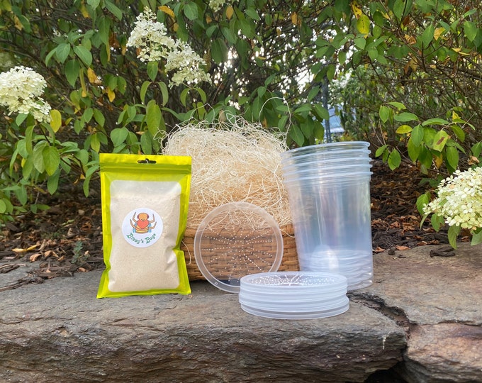 Fruit Fly Culture Kit - Make Your Own Feeder Insect Cultures for Dart ...