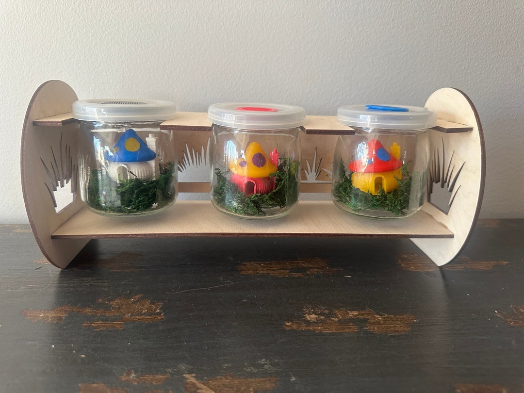 Mini Spider Enclosures sling /jumping Spider Enclosure pick Your ...