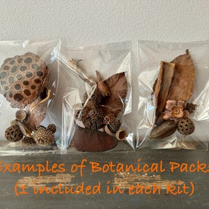 Deluxe Isopod Starter Kit Isopod Terrarium Kit for Isopods With Isopod ...