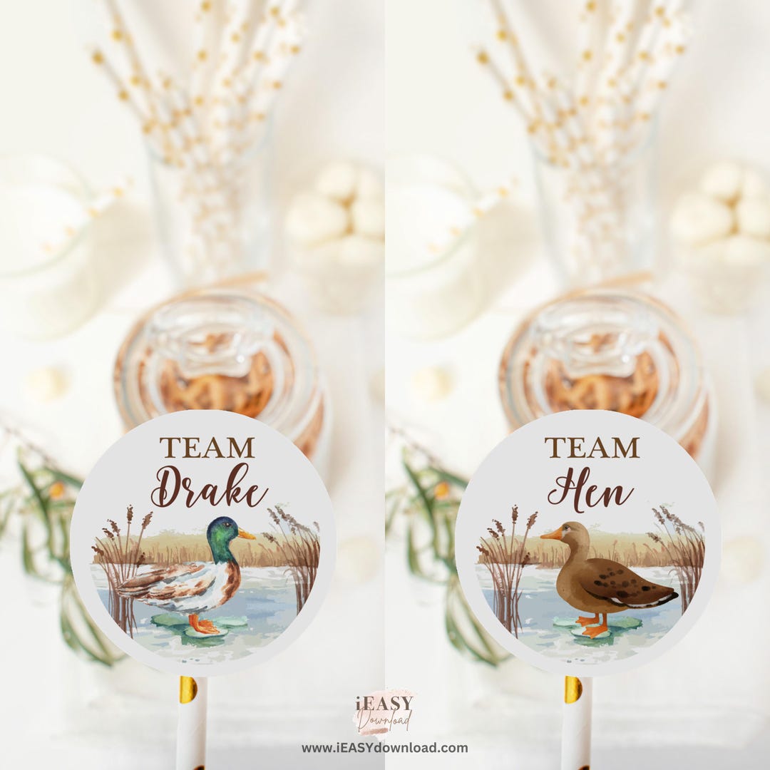 Gender Reveal Team Stickers, Team Drake, Team Hen, Duck Themed Baby ...