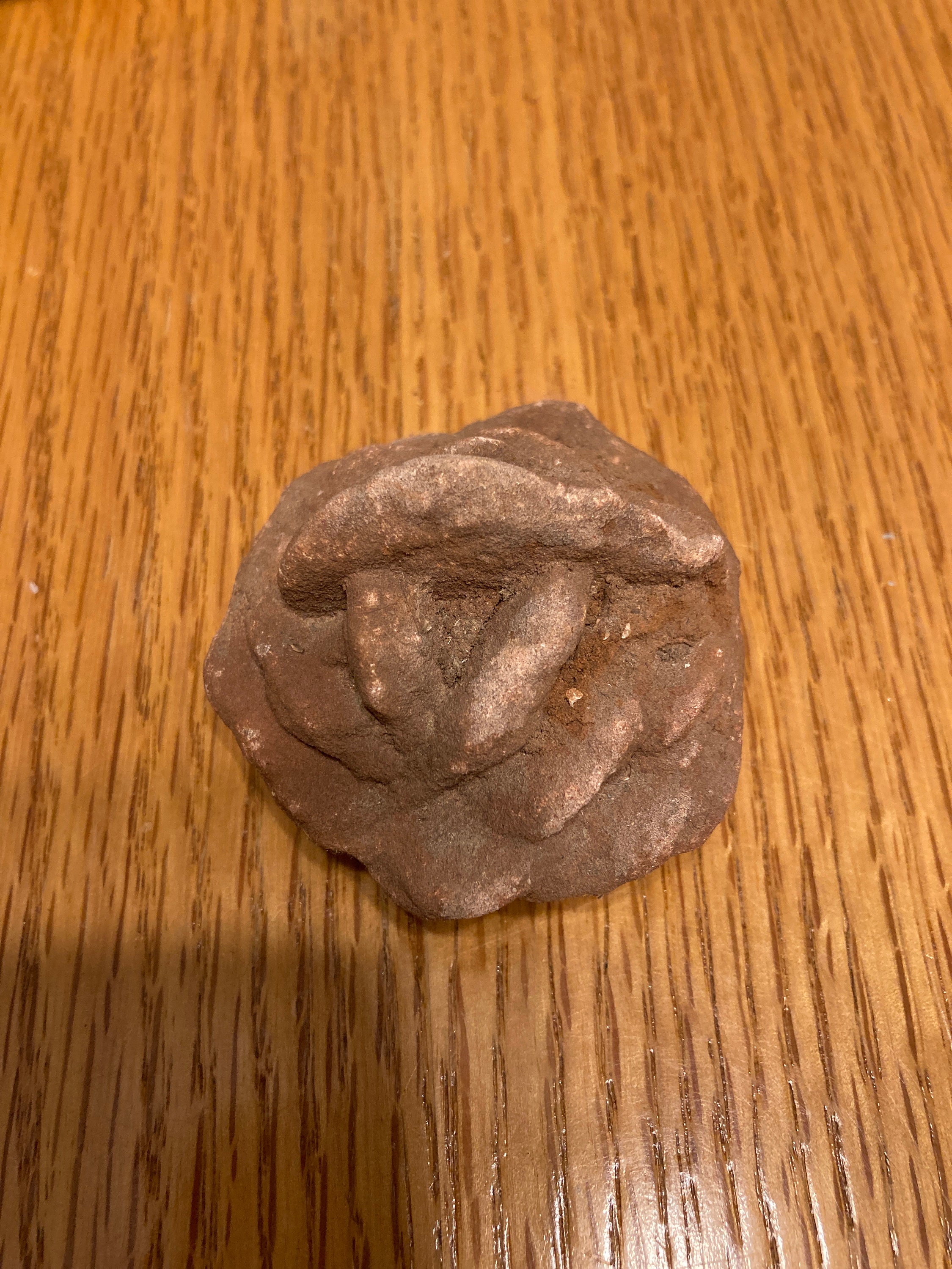 Barite Desert Rose - Etsy