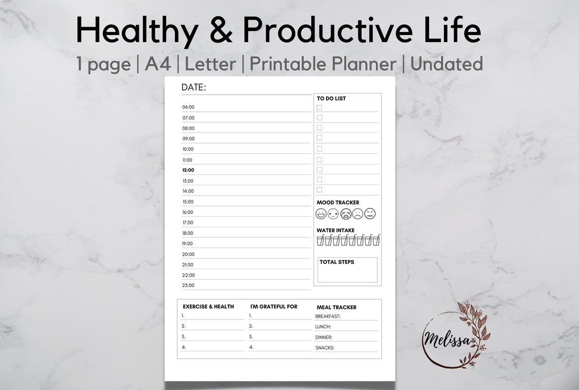 Daily Planner PDF Hourly Planner Printable Daily to Do List ...