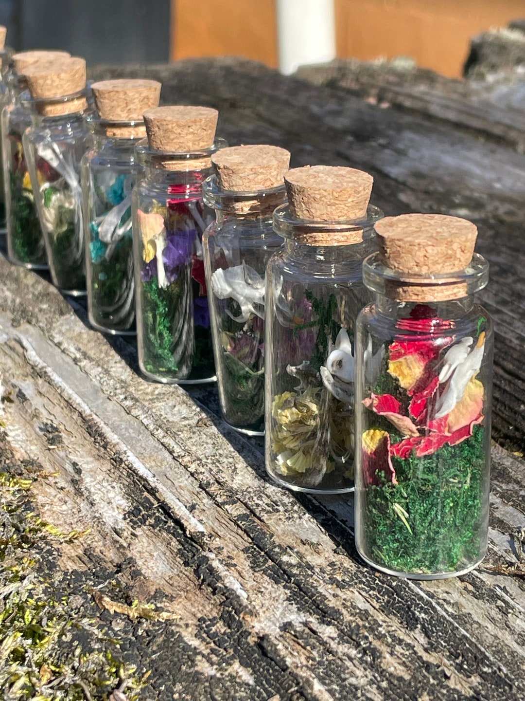 Handmade Bone & Floral Curio Vial - Macabre Oddities - Etsy