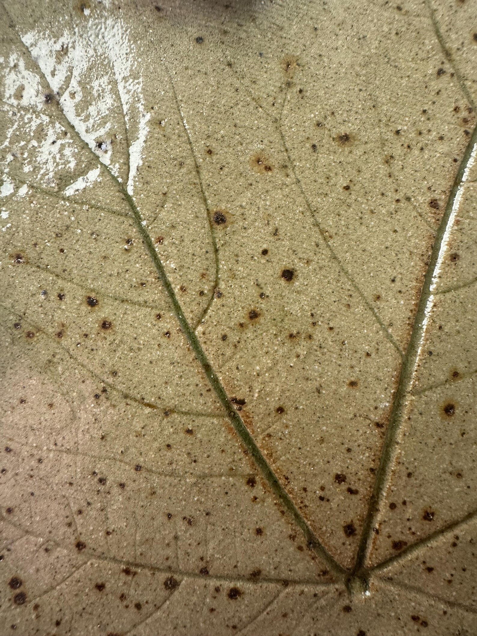 Fig Leaf Handmade Rustic Light Green Stonware Leaf - Etsy