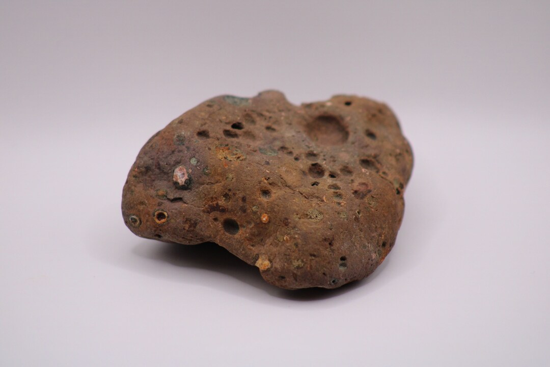 Minnesota Rock With Pholad Boreholes and Geodes - Etsy