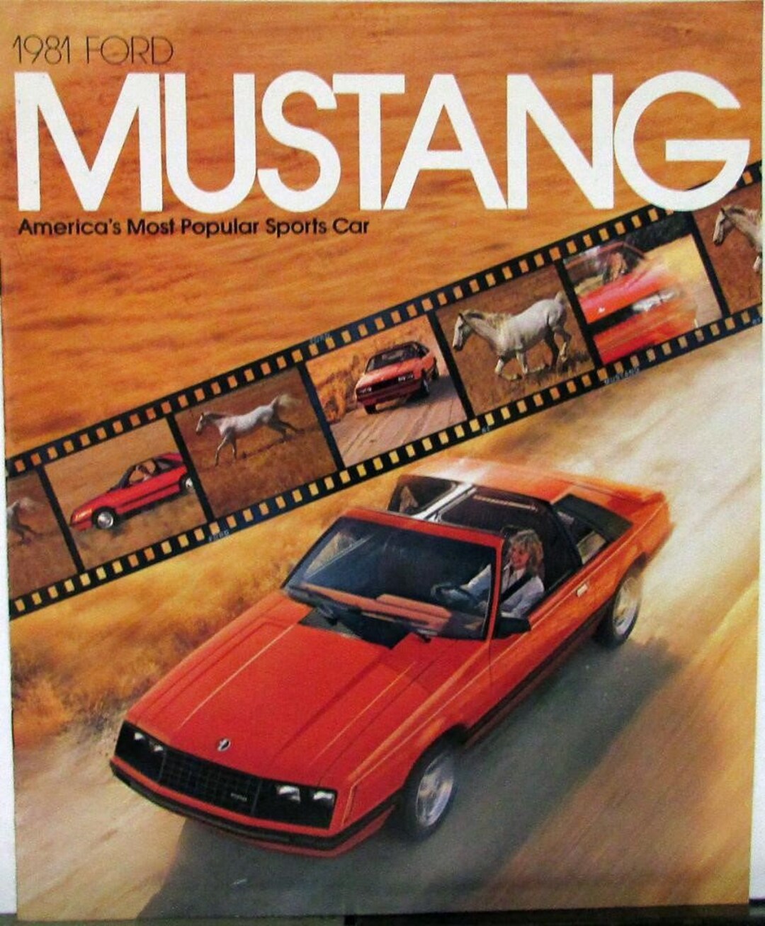 1981 Ford Mustang Sport Ghia Cobra 2 Door 3 Door Color Sales Brochure ...