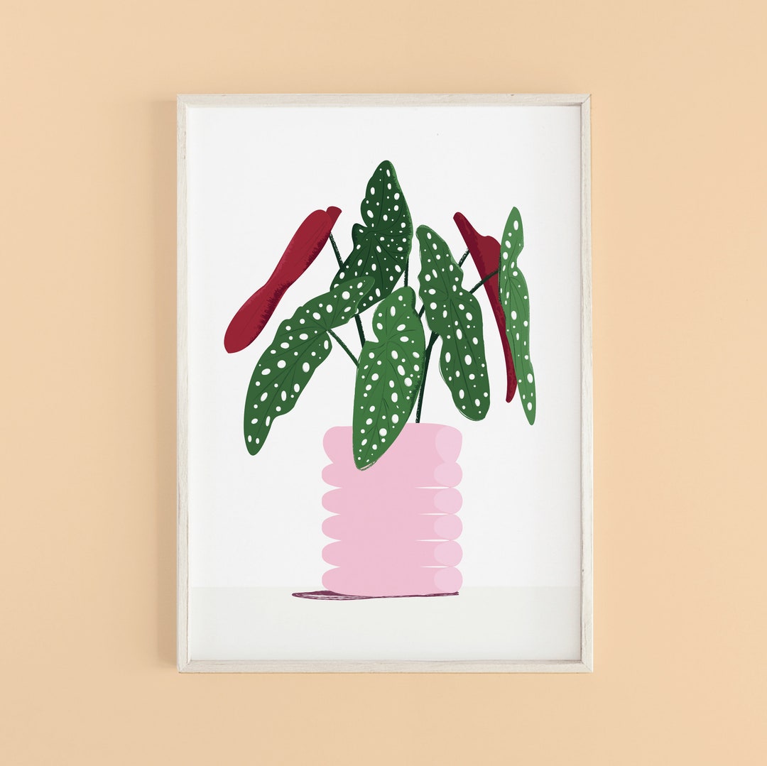 Begonia House Plant Print, Spotty Leaves, Pink Vase (a4/30x40cm) - Etsy