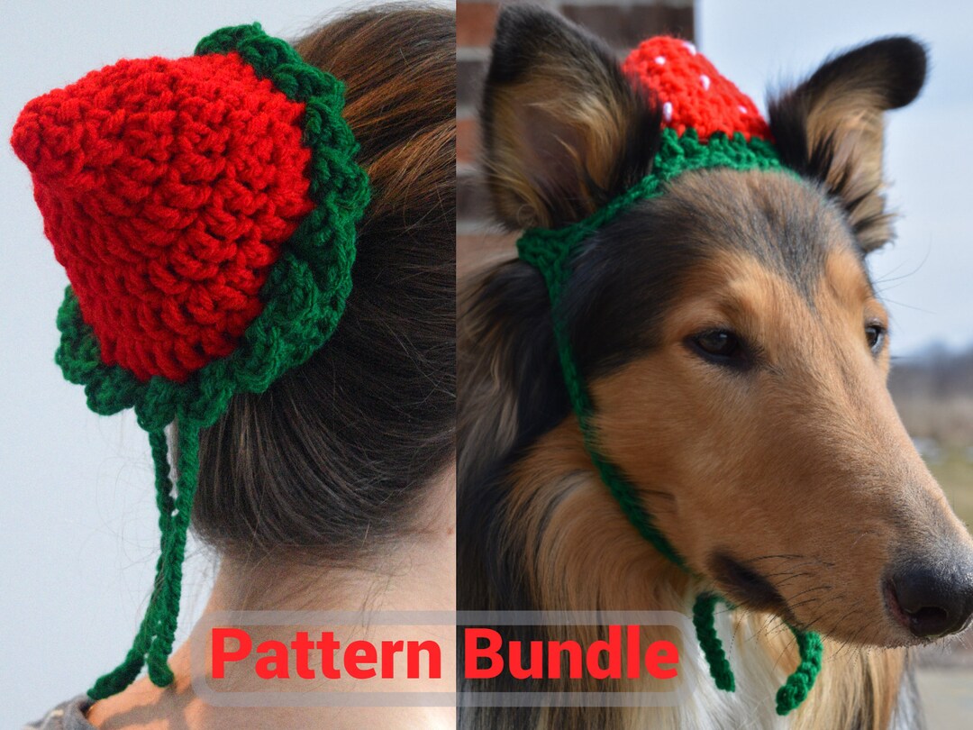 Strawberry Buddies Crochet Pattern Bundle - Custom Size - Instant ...