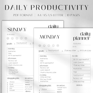 Daily Productivity Planner Printable Pdf Pages | Daily Planner ...