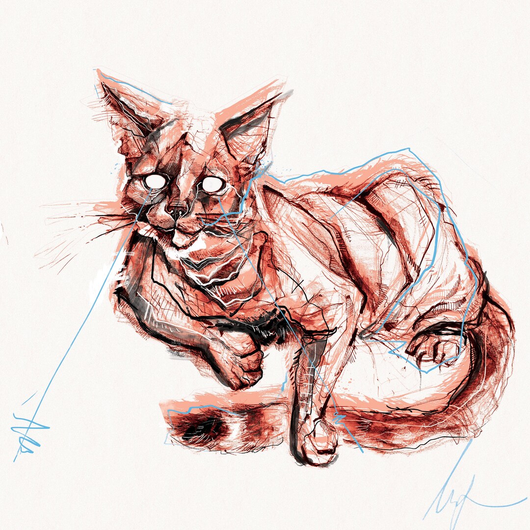 Cat Gone Mad. Print of a Pencil/fineliner Drawing That Has Been ...