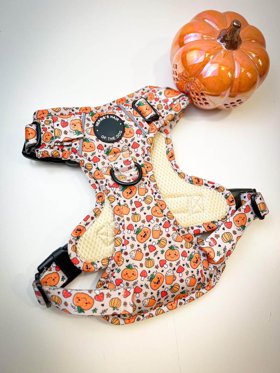 Don't Sweat the Fall Stuff Wild Walkies Dog Harness, Girl Dog Harness ...