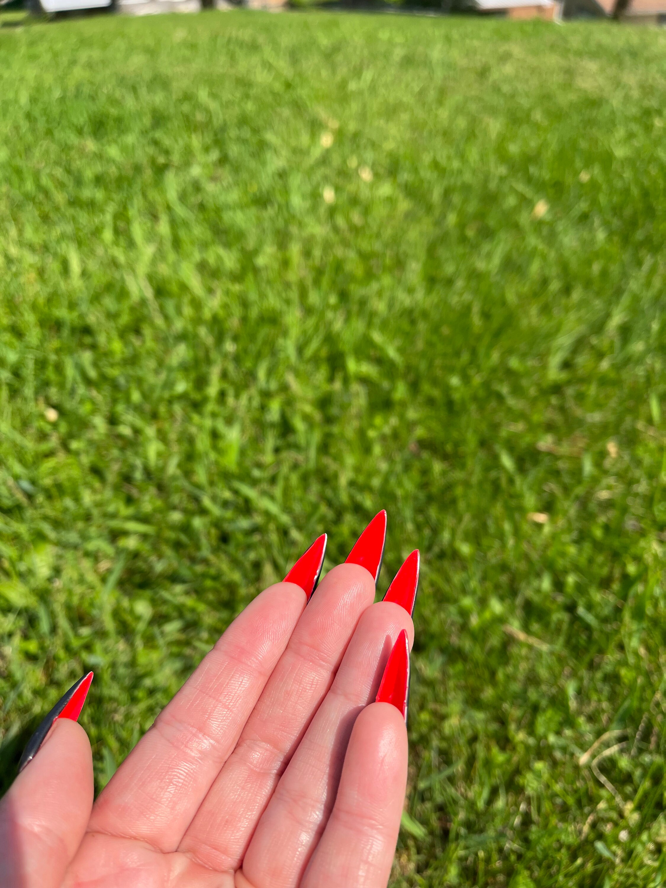 Matte Black With Red Bottom - Etsy