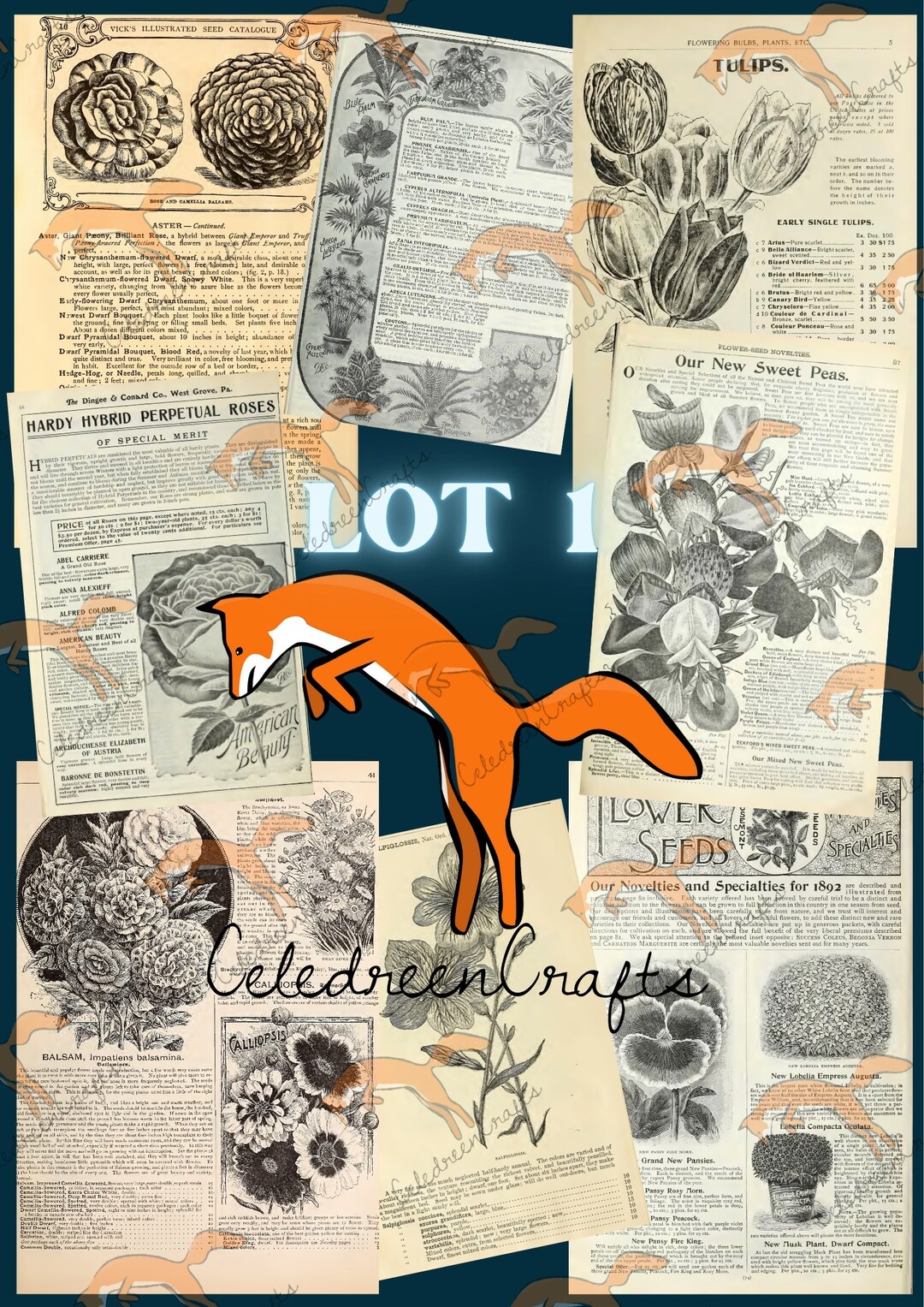 50 Pages Vintage Flower Catalogs, 1871 and After. Superb Illustrations ...