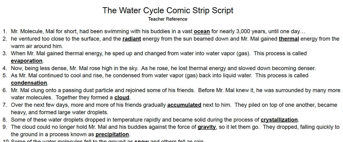 Water Cycle Comic Review / Study Guide - Etsy